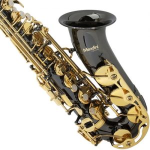 20 Best Saxophones- the Top Sax Brands & Brands to Avoid - WhistleAway
